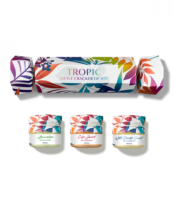 Enter Raffle to Win Highams Park Christmas Fair hosted by Katie Ventresca