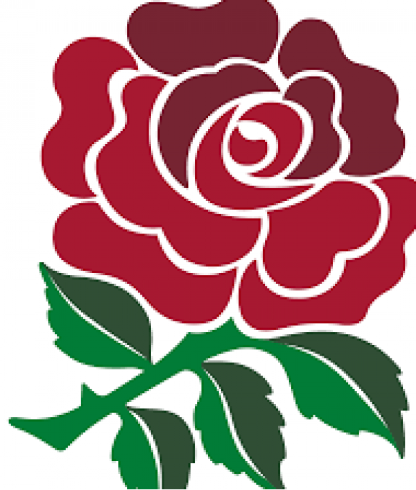 Enter Raffle to Win Virtual zoom with Rugby Legends hosted by Dawn Wood