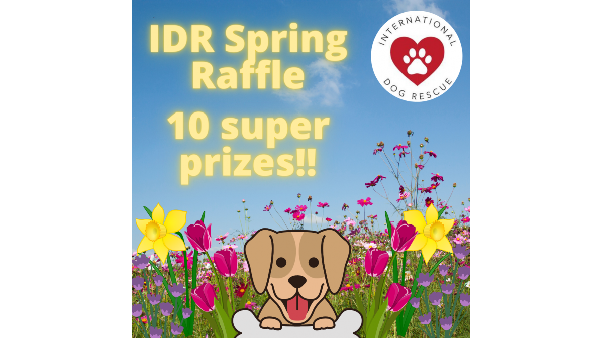 Enter Raffle to Win IDR Springtime hosted by International Dog Rescue (IDR)